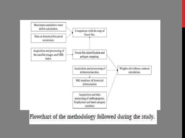 Forest fires.pptx | Geography | Science
