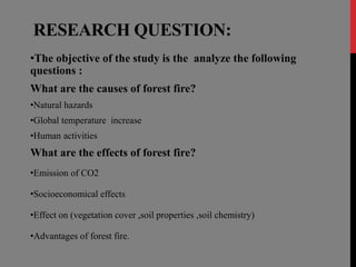 Forest fires.pptx