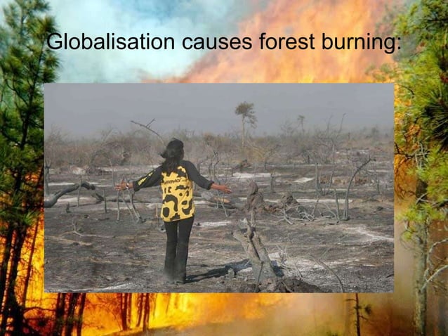 Forest fires by pascal | PPT