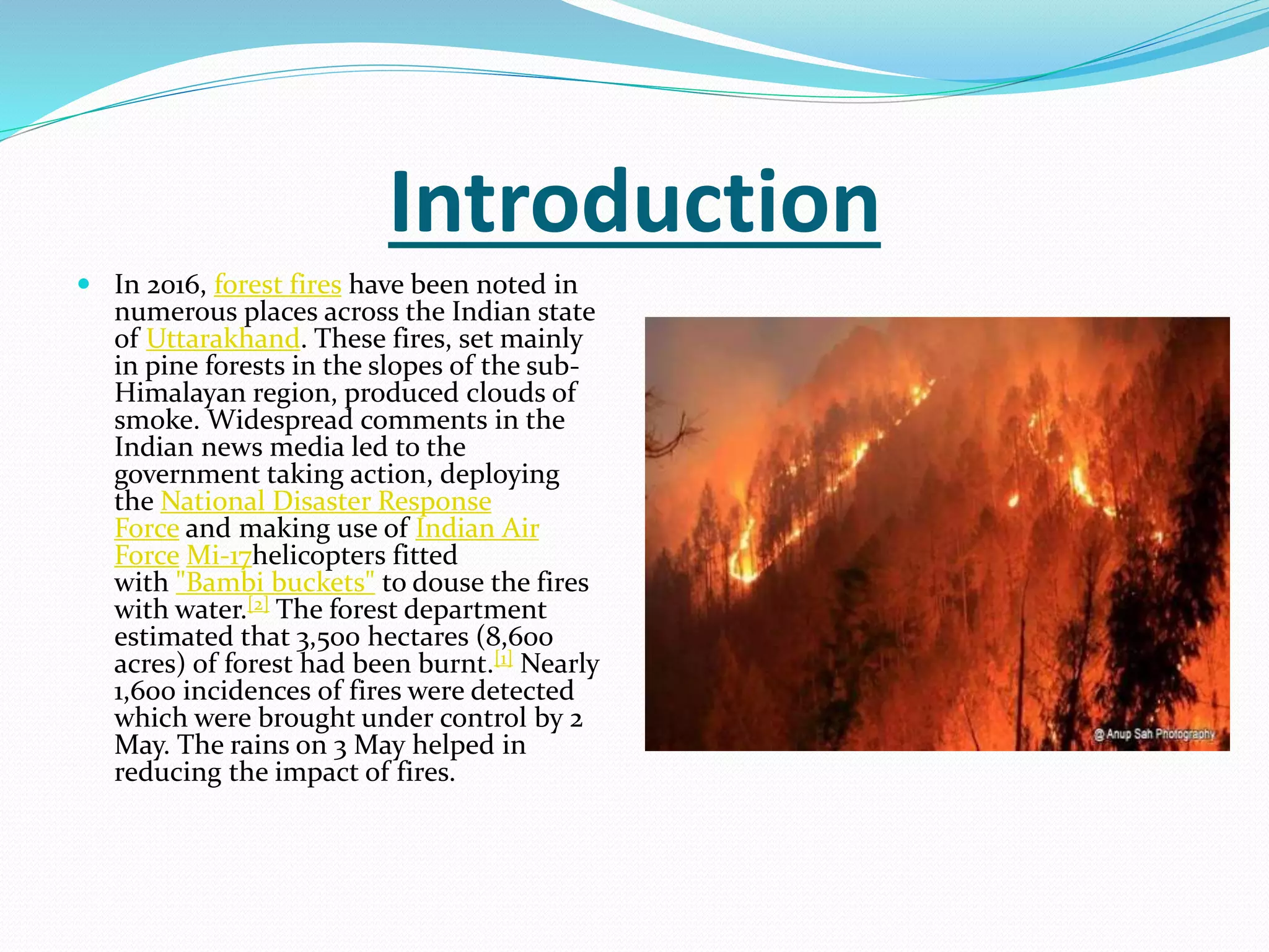 Forest fires in india | PPTX
