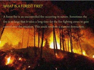 Forest fire | PPTX