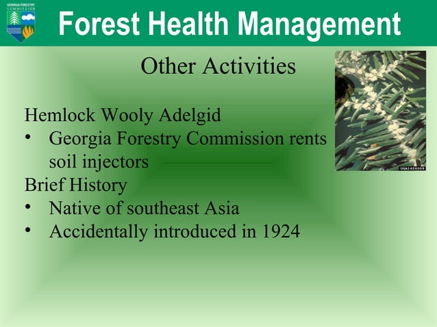 Forest Health, Forest Action Plan | PPT