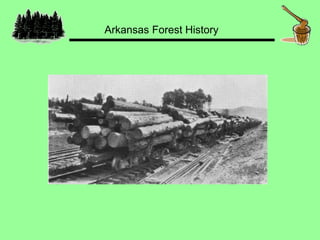 Arkansas Forest History | PPT