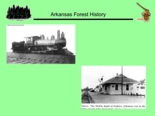 Arkansas Forest History | PPTX