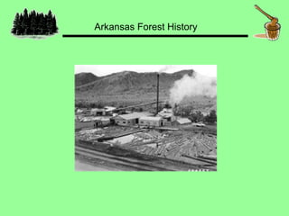 Arkansas Forest History | PPTX