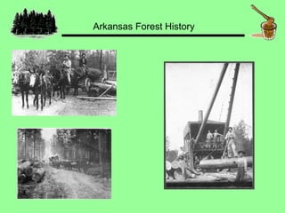 Arkansas Forest History | PPTX