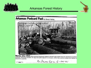 Arkansas Forest History | PPTX
