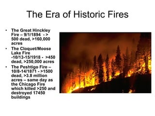 Forest history and management | PPT