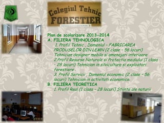 Forestier Campina | PPTX