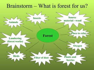 Forest inese | PPT