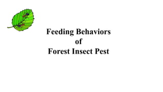 Feeding Behaviors of Forest Insect Pest | PPT