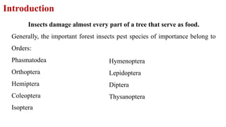 Feeding Behaviors of Forest Insect Pest | PPT