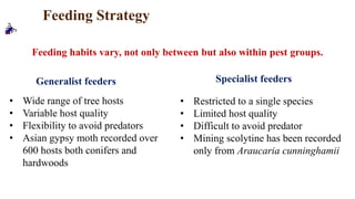 Feeding Behaviors of Forest Insect Pest | PPT