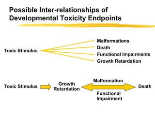 Human Clinical Relevance of Developmental and Reproductive Toxicology ...