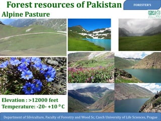 Forest land mangement system in pakistan | PDF