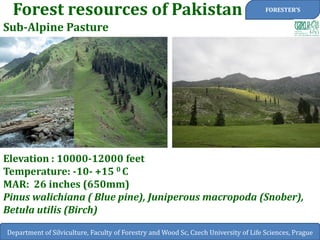 Forest land mangement system in pakistan | PDF