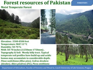 Forest land mangement system in pakistan | PDF