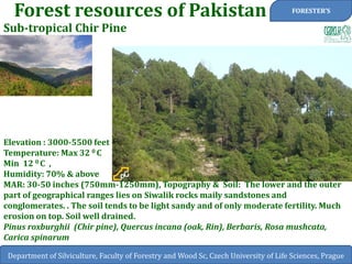 Forest land mangement system in pakistan | PDF