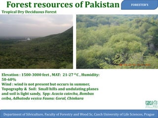 Forest land mangement system in pakistan | PDF