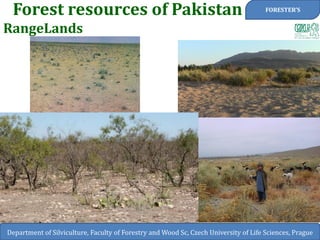 Forest land mangement system in pakistan | PDF