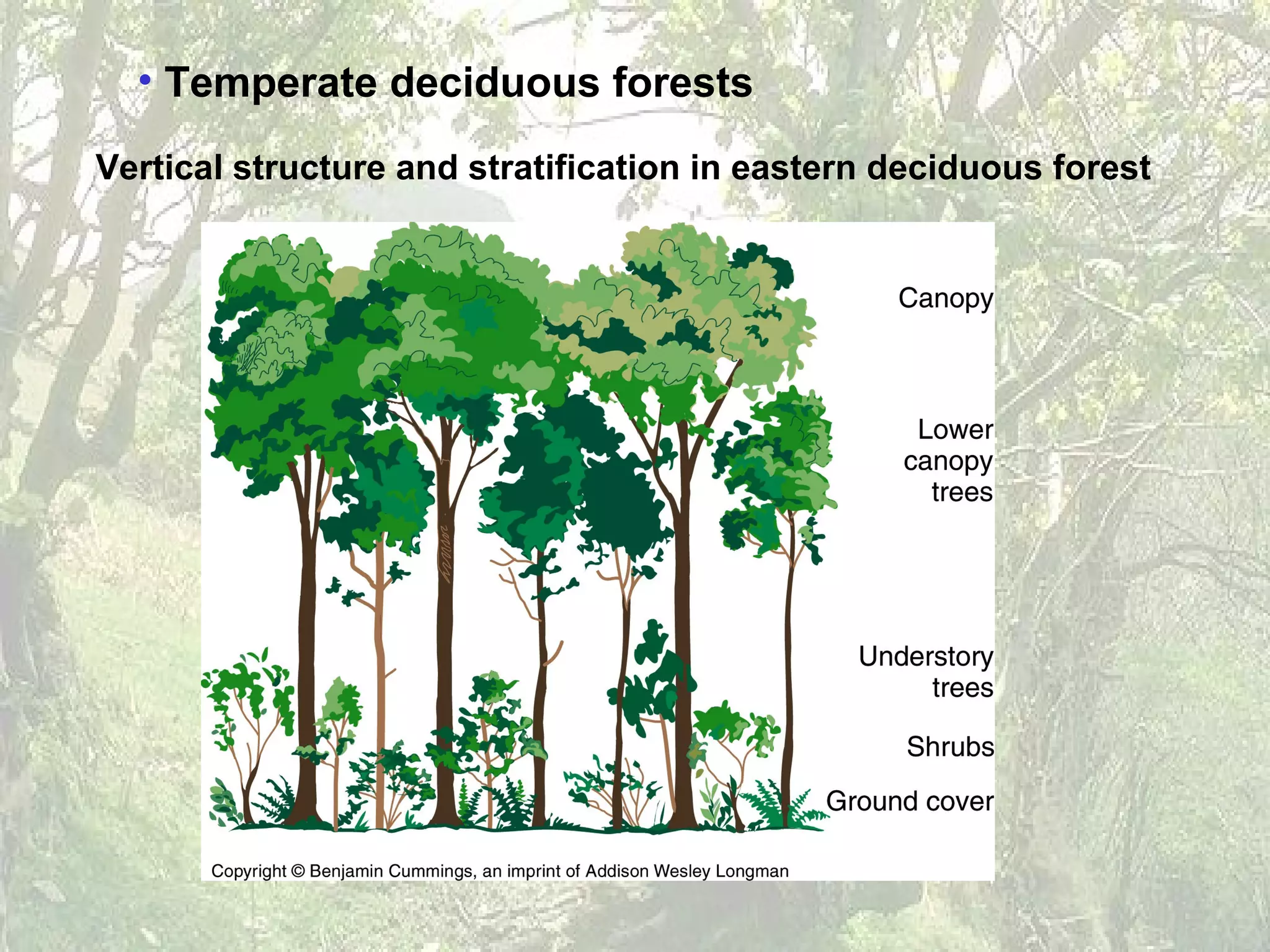 Forest life and its conservation | PPT