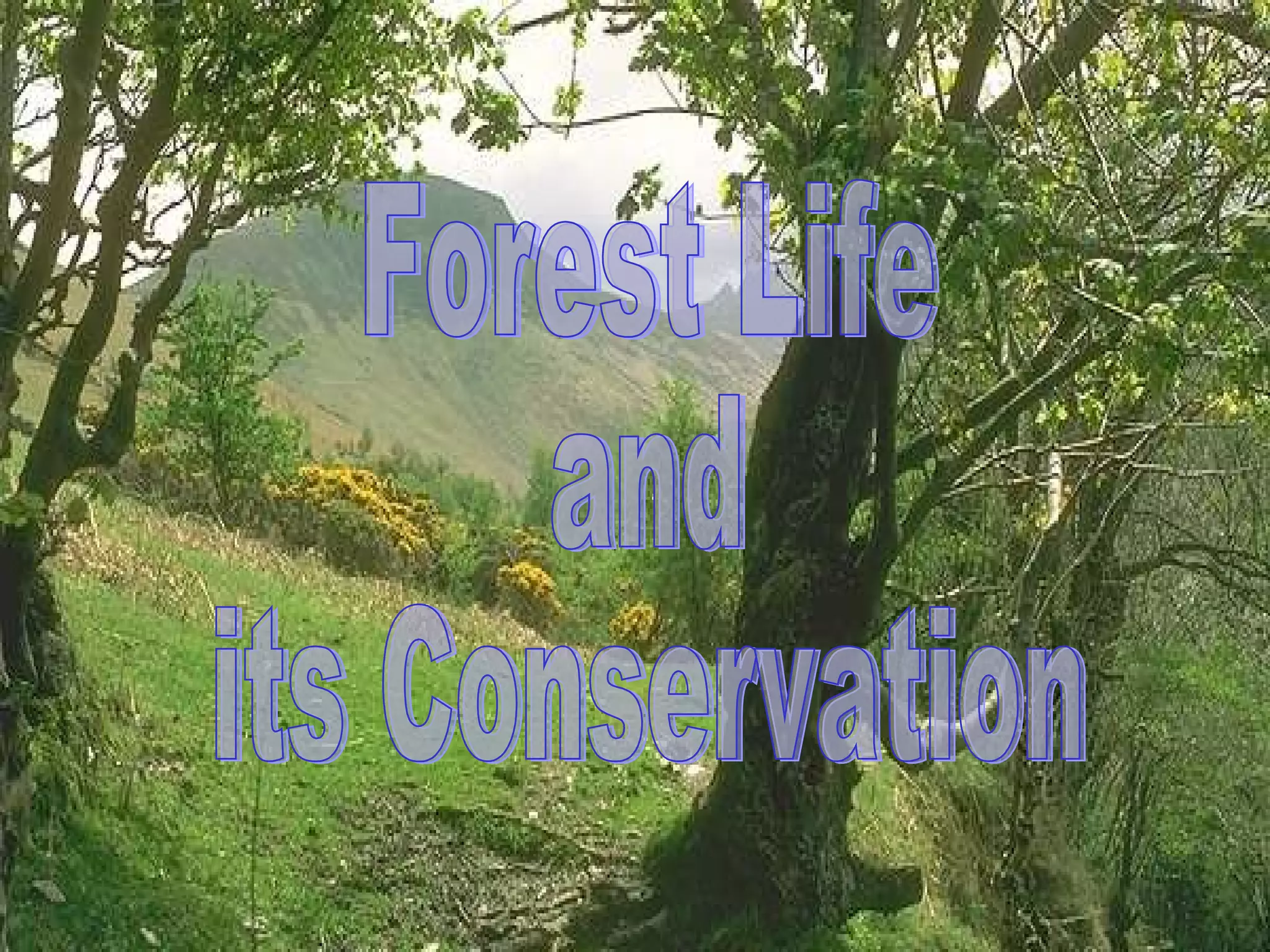 Forest life and its conservation | PPT