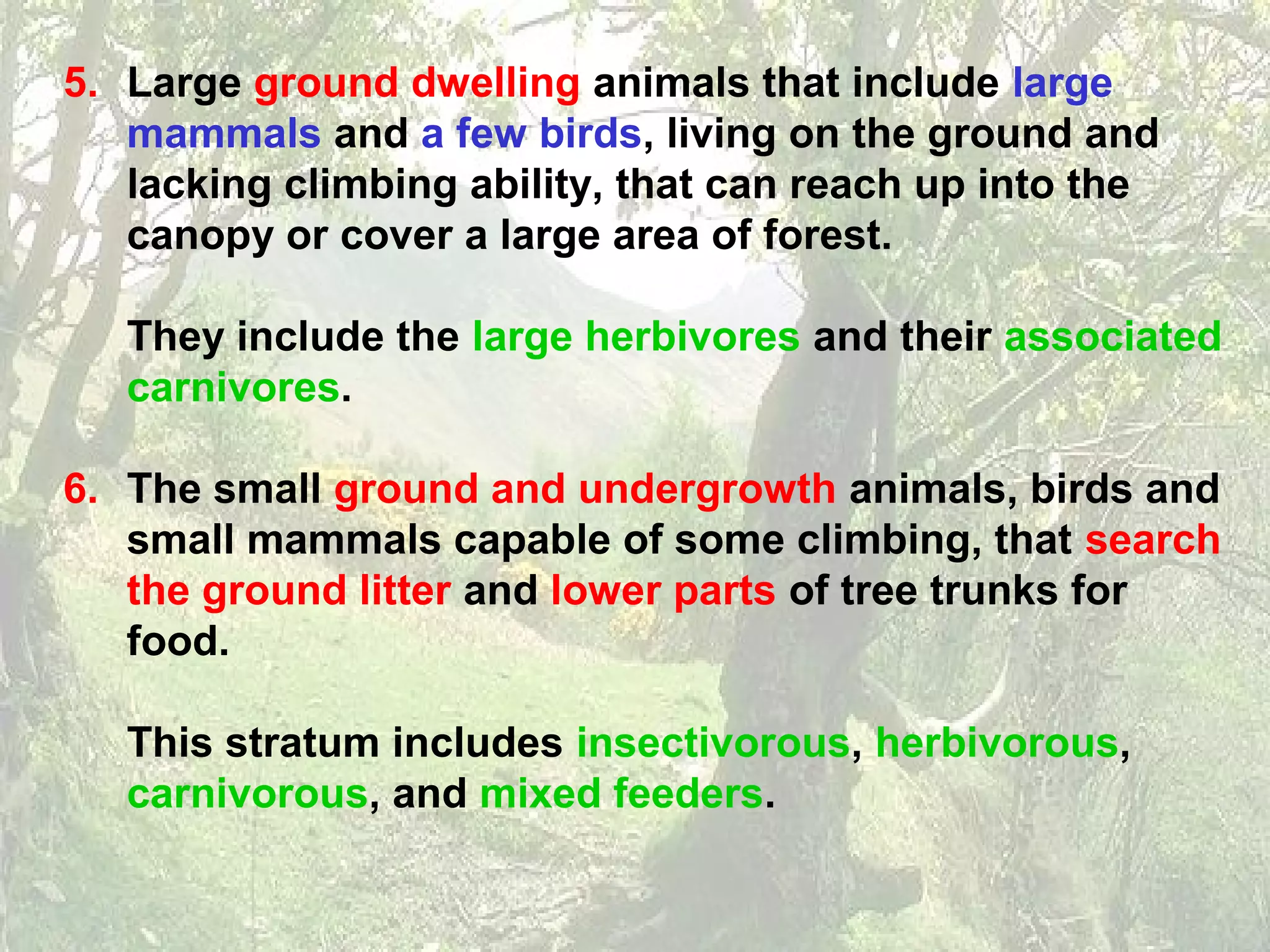 Forest life and its conservation | PPT