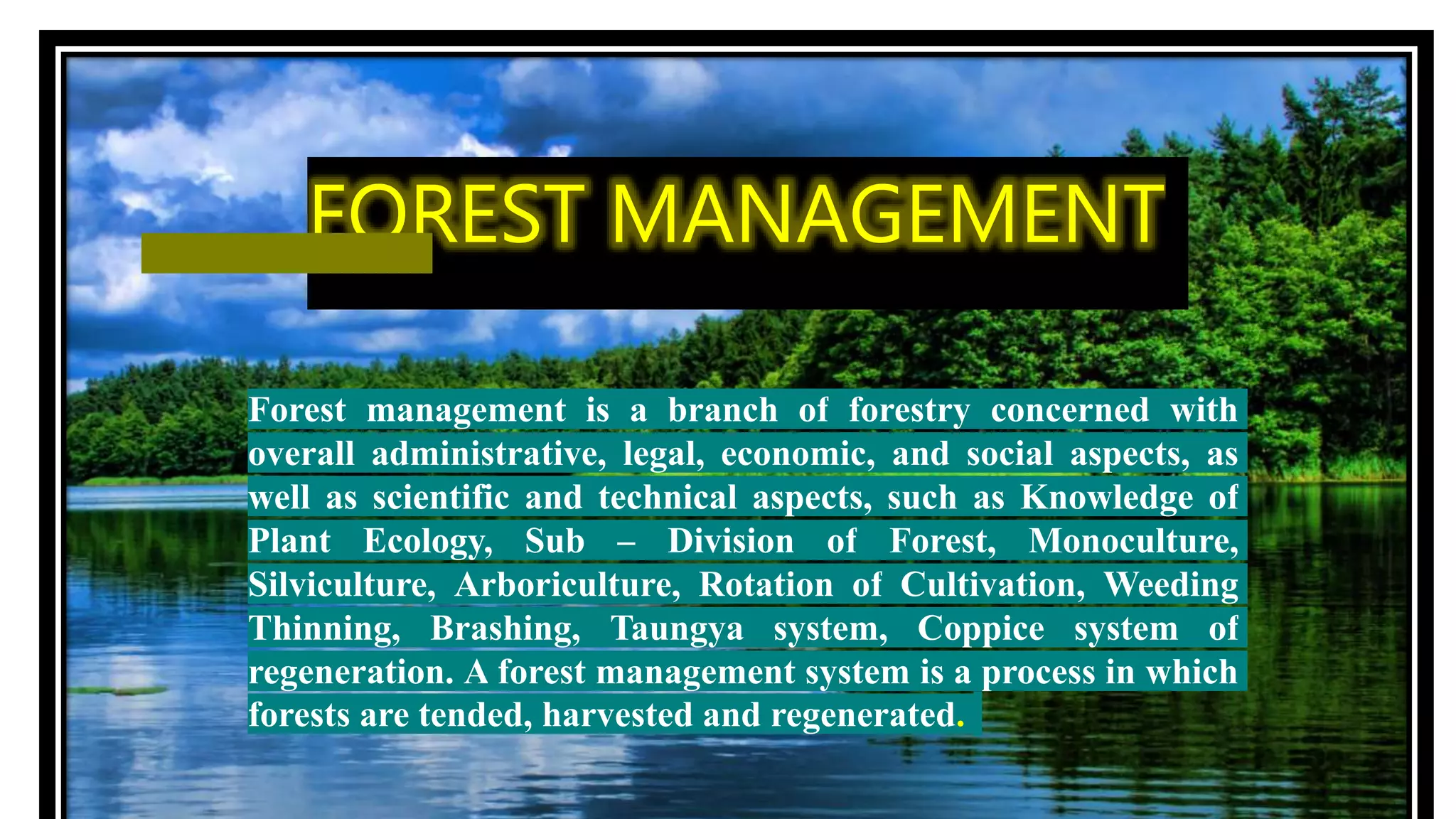 Forest management | PPTX