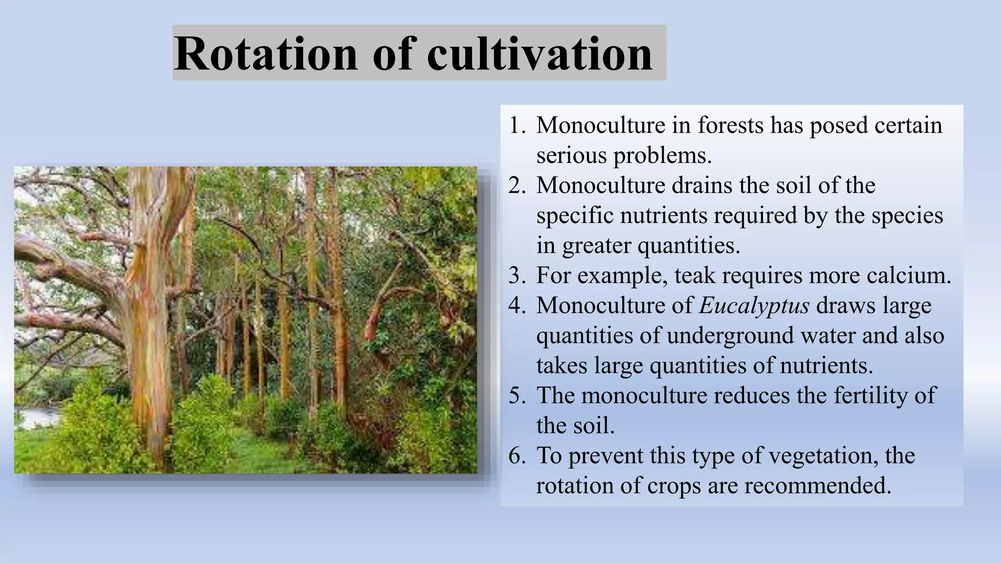 Forest management | PPTX