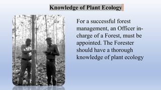 Forest management | PPTX