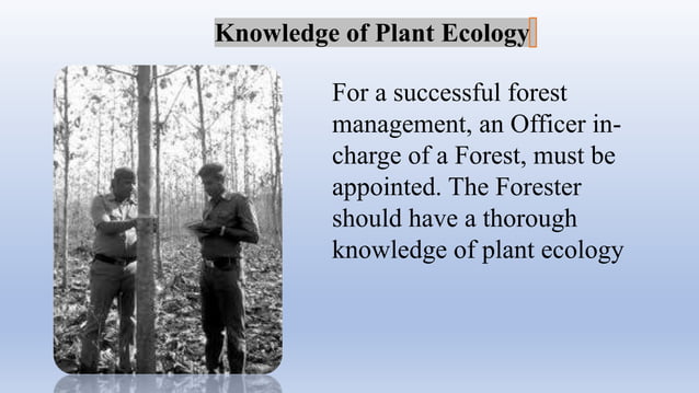 Forest management | PPTX