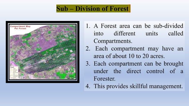 Forest management | PPTX