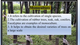 Forest management | PPTX