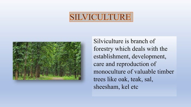 Forest management | PPTX