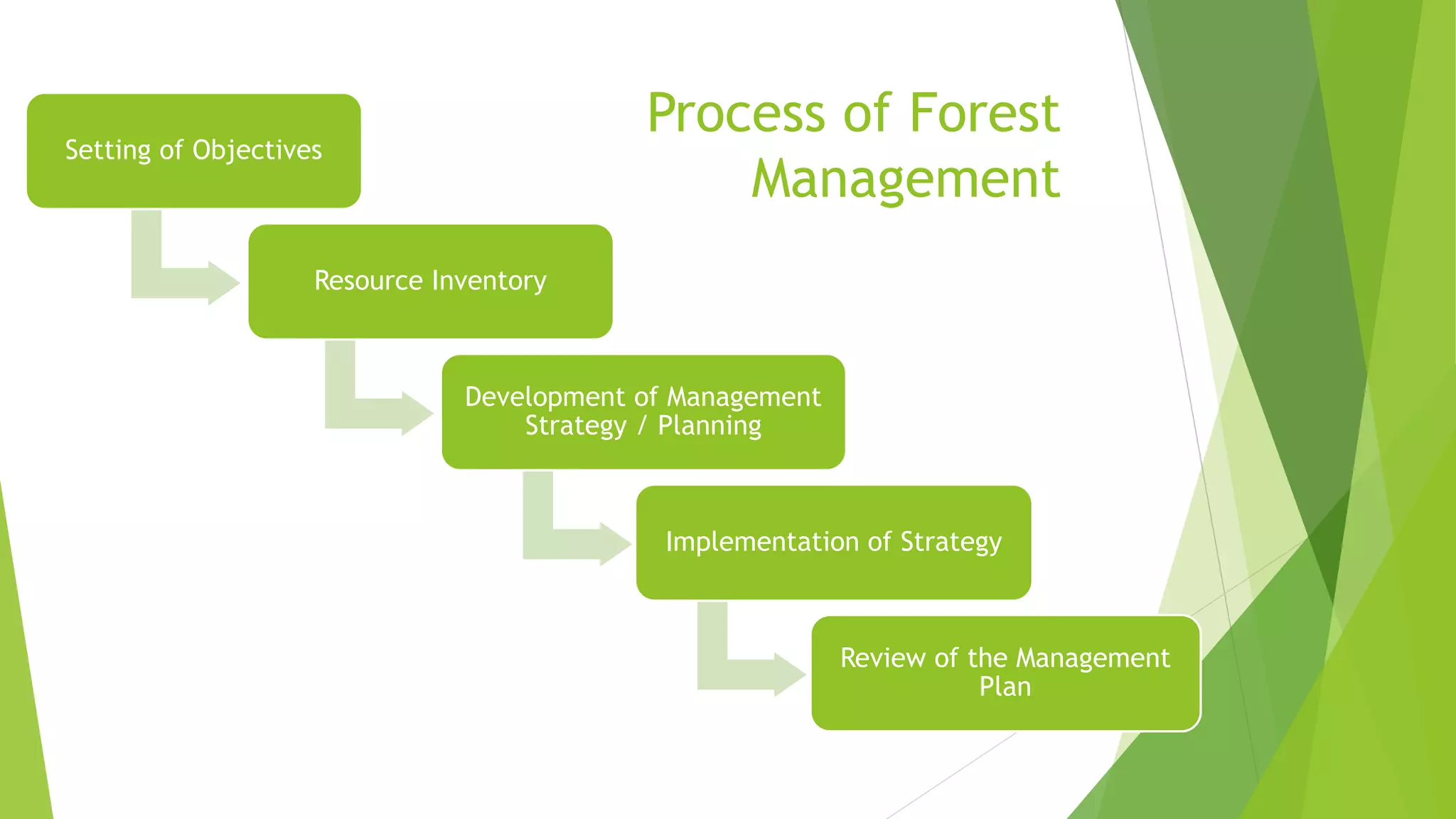 Forest management | PDF
