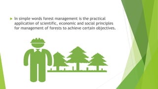 Forest management | PDF