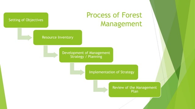 Forest management | PDF | Agriculture | Industries