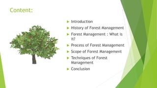 Forest management | PDF