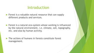 Forest management | PDF