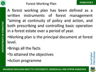 Forest management plan | PDF