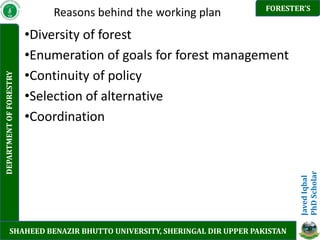 Forest management plan | PDF