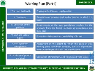 Forest management plan | PDF