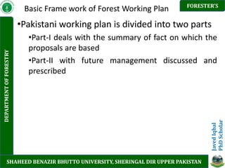 Forest management plan | PDF