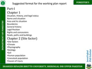 Forest management plan | PDF