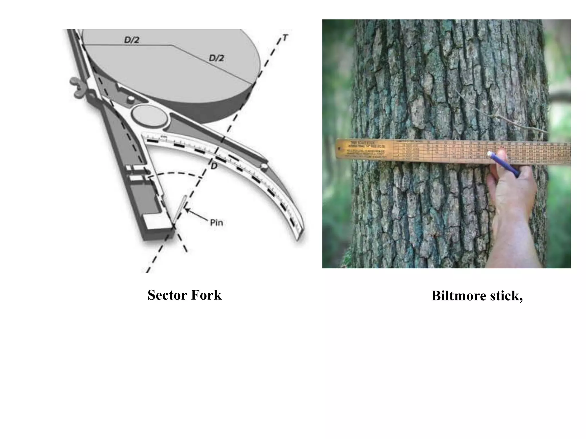 Forest mensuration | PPTX