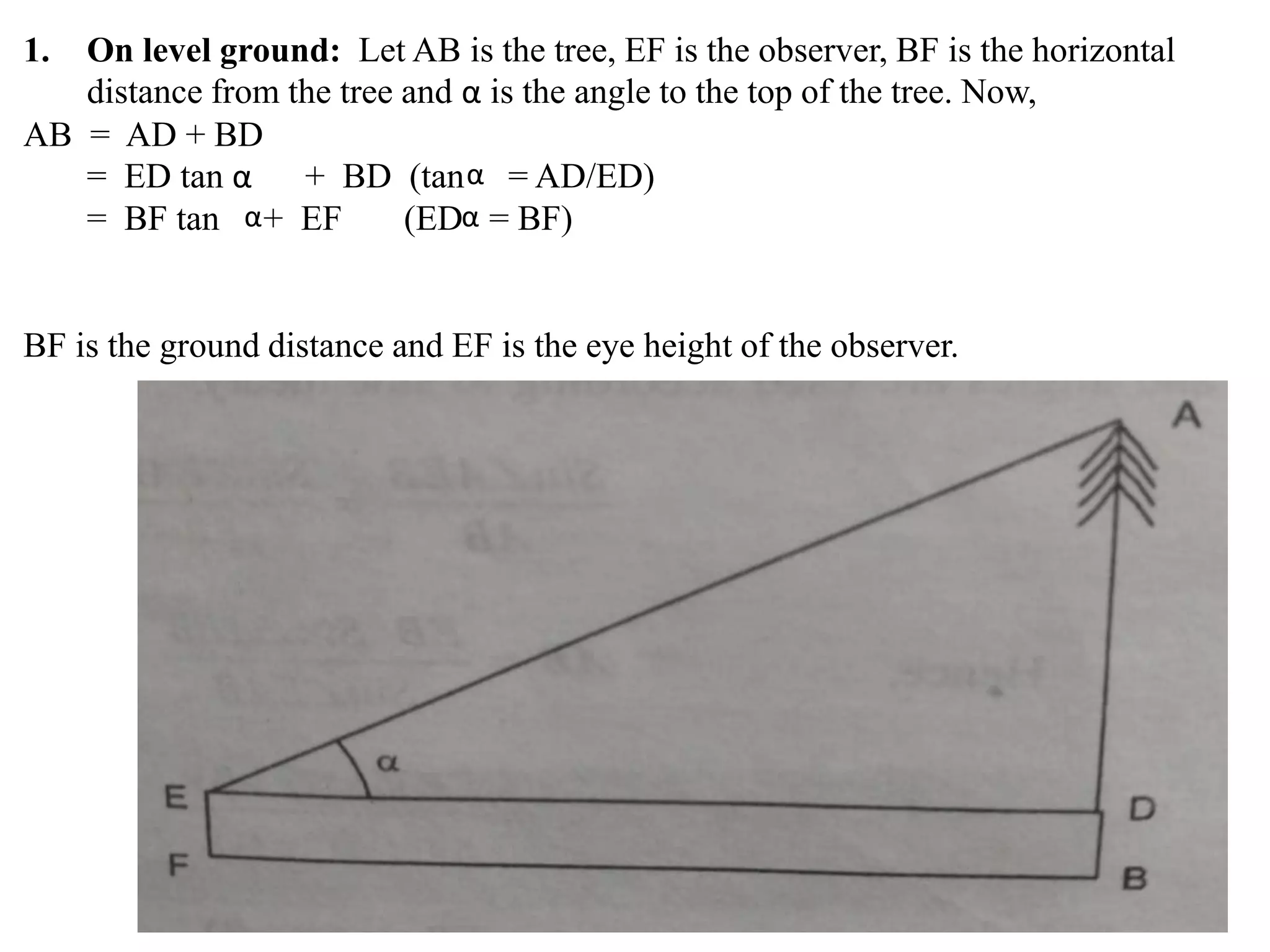Forest mensuration | PPTX