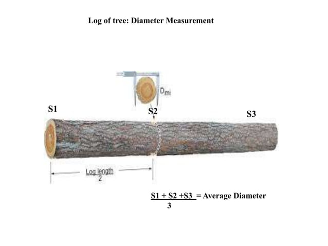 Forest mensuration | PPTX
