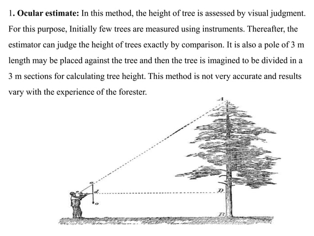 Forest mensuration | PPTX