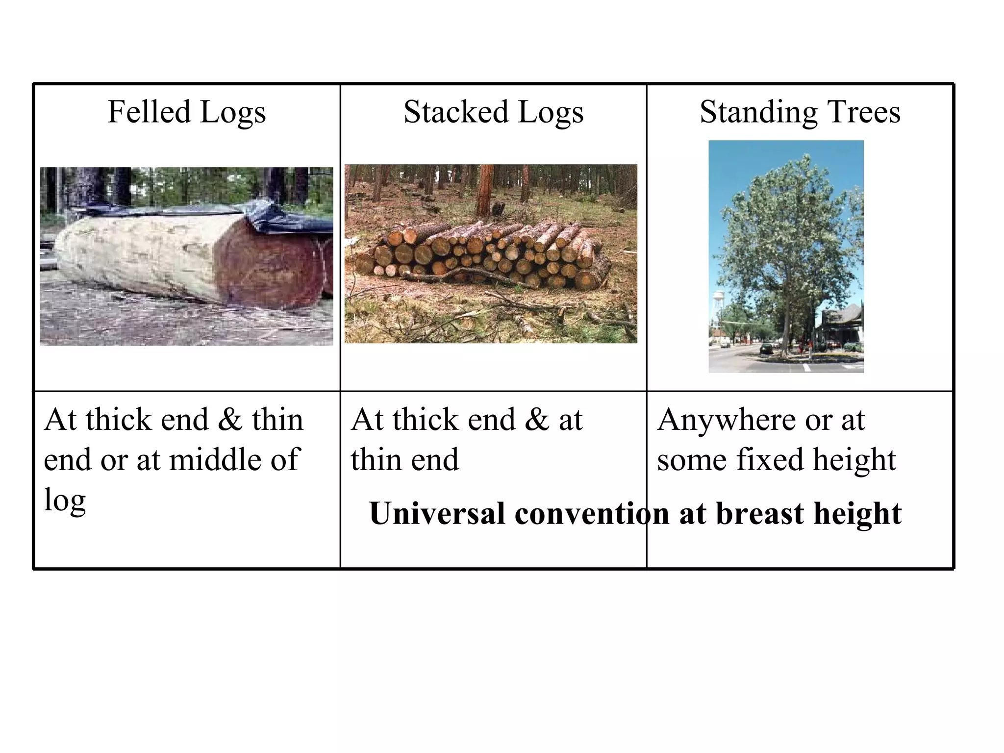 Forest mensuration slide 1 | PDF