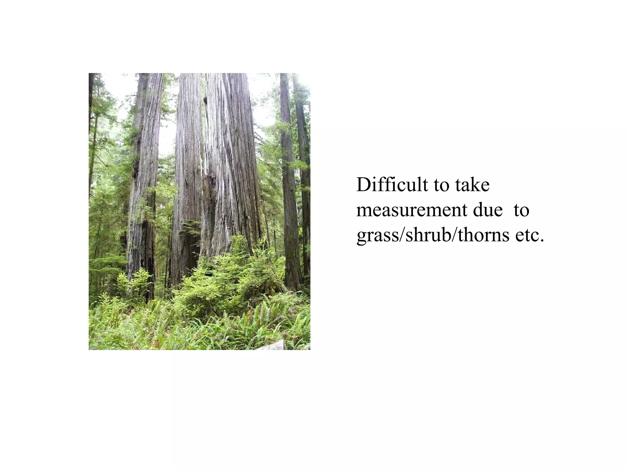 Forest mensuration slide 1 | PDF